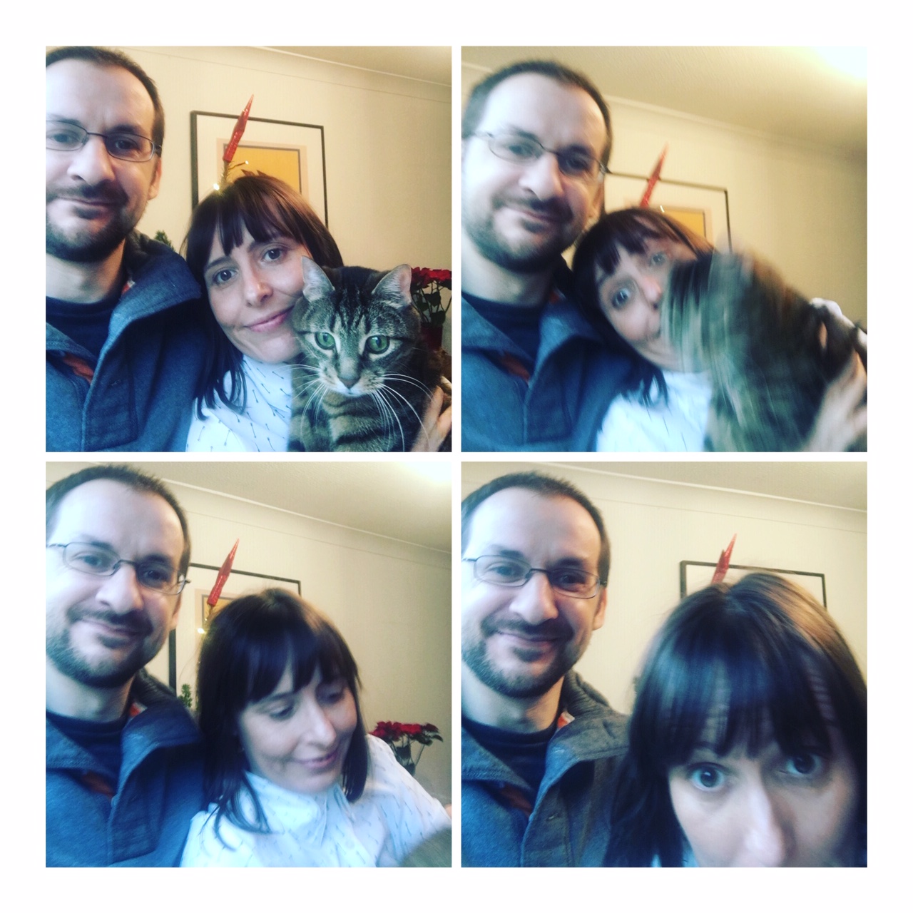 The story of WeeGee – How do you eat an elephant?